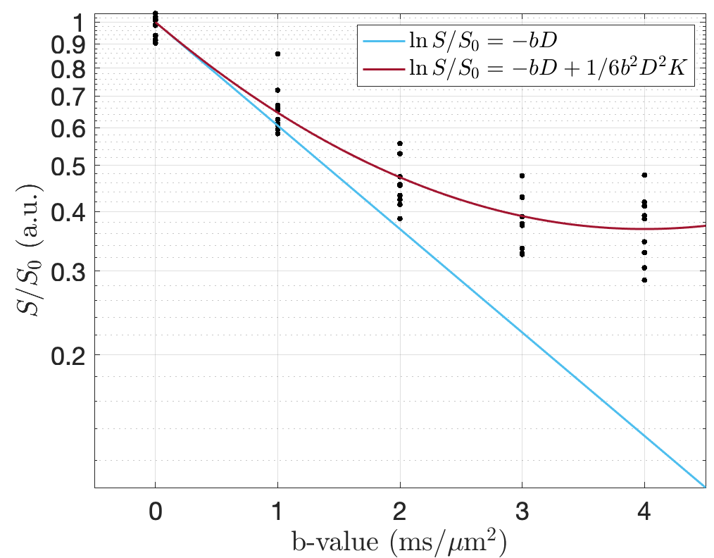 DTI-DKI | NYU Diffusion Biophysics Docs